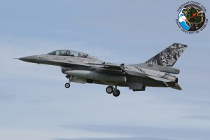 The most stunning Special Colored Fighter Jets taking part in the NATO ...