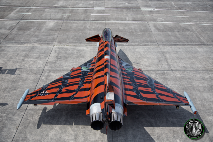 Spanish Air Force to decommission Mirage F1 fleet in 2013 - The Aviationist