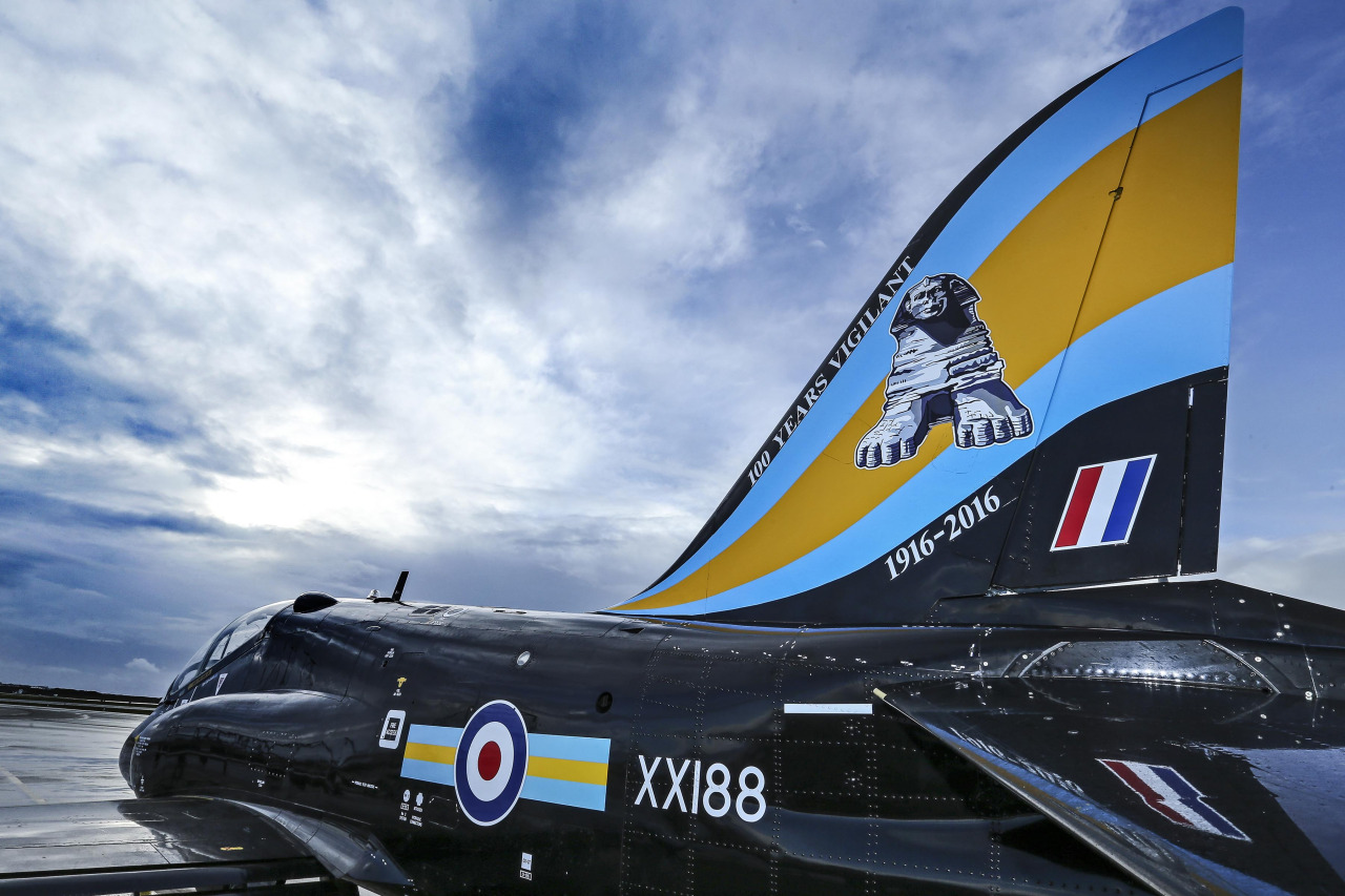 Cool photos show new special-colored Hawk that celebrates Royal Air ...