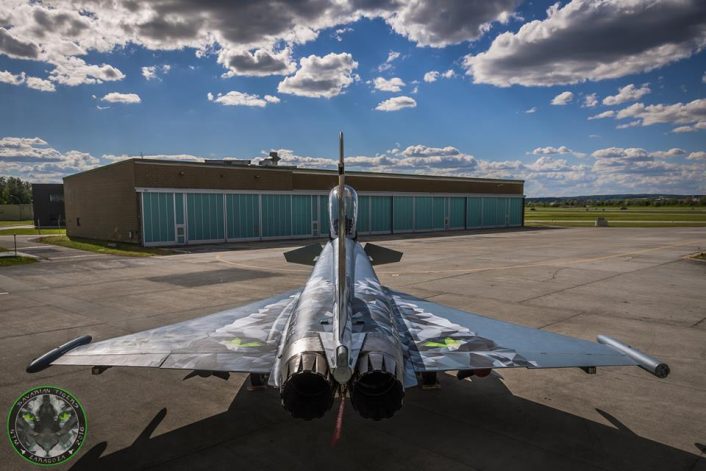 "Cyber Tiger": the brand new Eurofighter Typhoon in special tiger ...