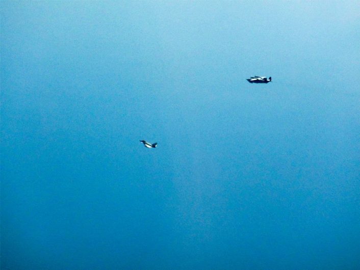 Russian Navy Beriev Be-12 Amphibian Aircraft Intercepted By RAF ...