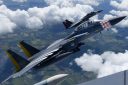 Check out these nice photos of U.S. F-15s during their flypast for the ...
