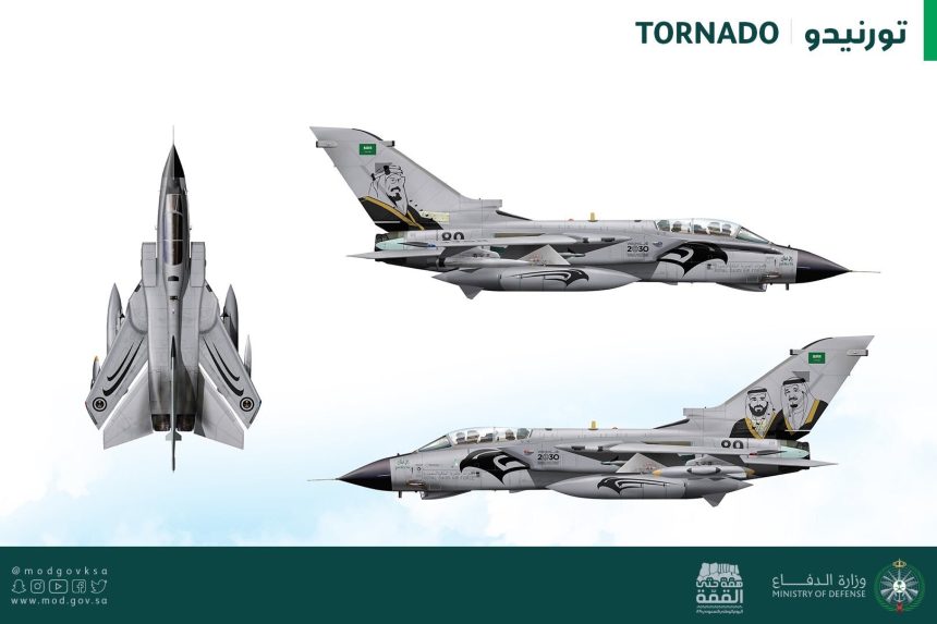 Here are all the Royal Saudi Air Force Special Colors That Celebrate ...