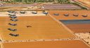 Luke AFB Owns COVID-19 Flyovers with Massive 14-Plane F-16 and F-35 ...