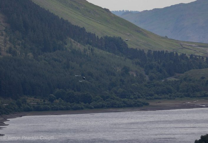 Photographer Snaps Images Of Two-Ship RAF F-35B Lightning Aircraft ...