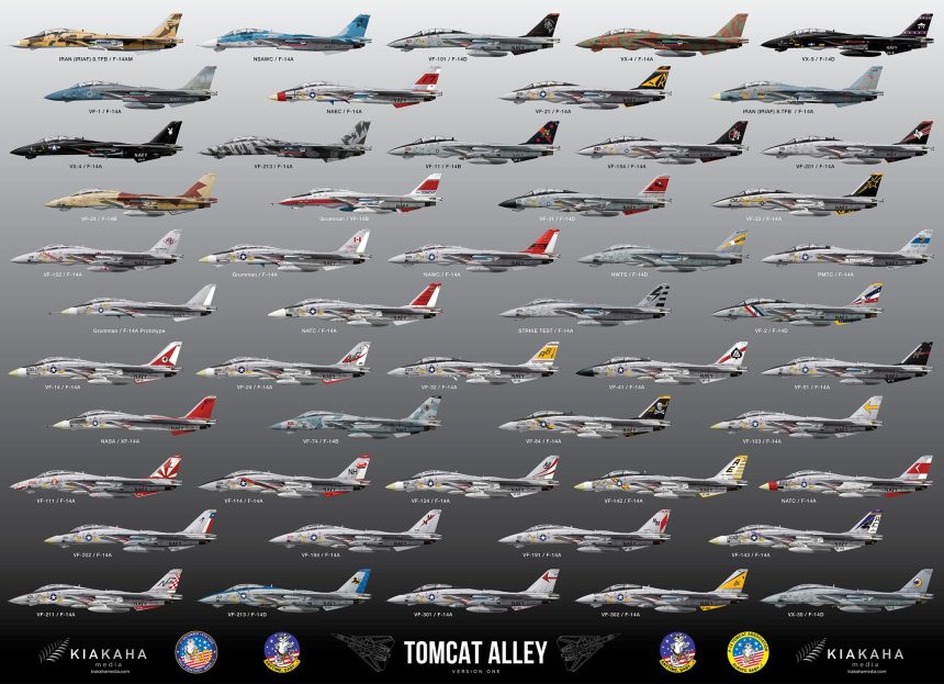 These Posters Feature 100 Of The Most Iconic F-14 Tomcat Liveries Of ...