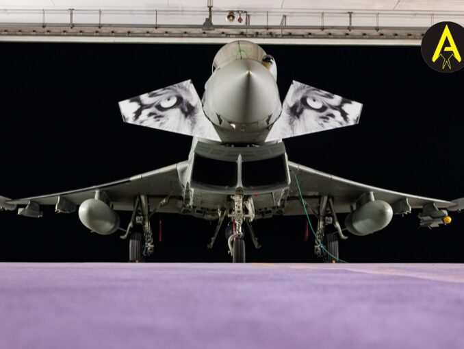 The most stunning Special Colored Fighter Jets taking part in the NATO ...