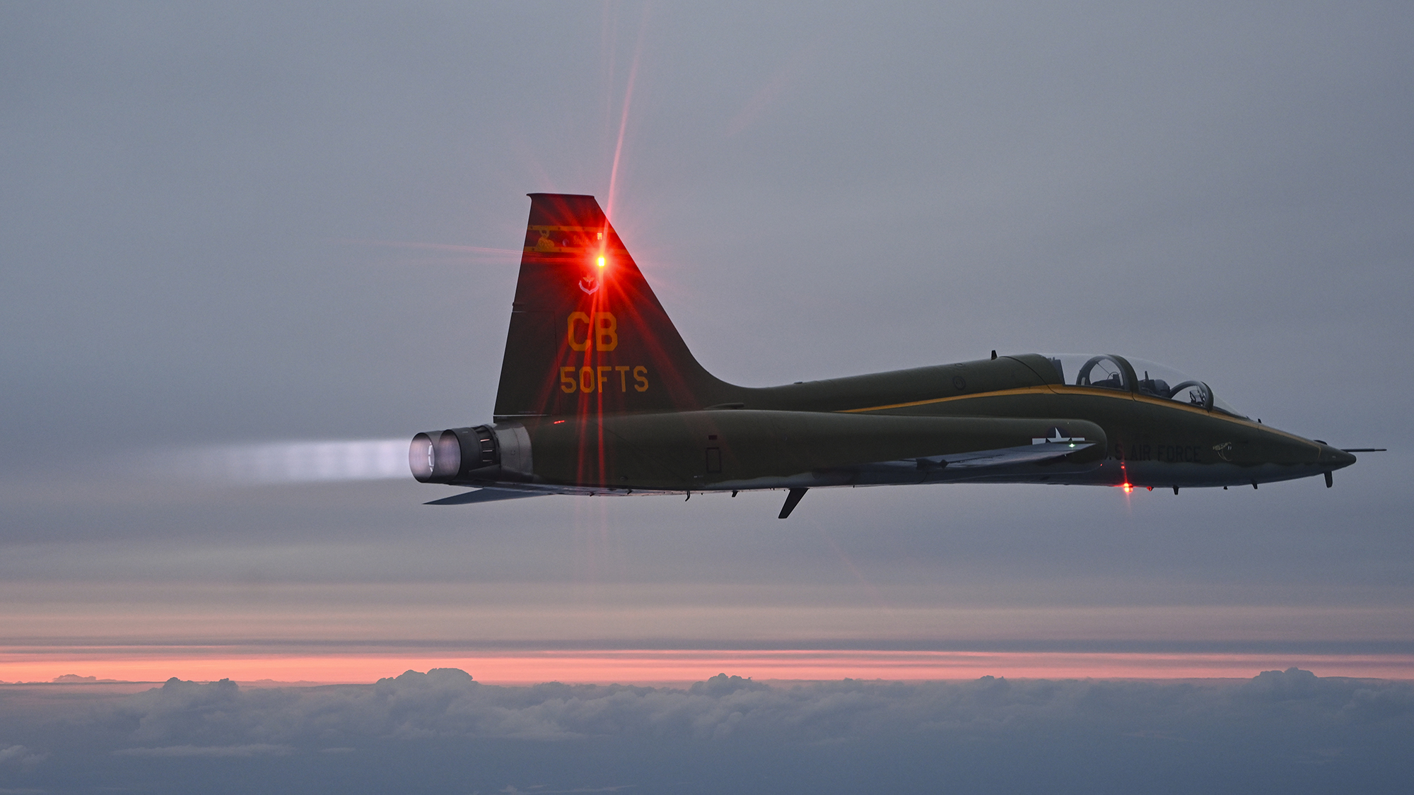 Snakes’ Final Strike: 50th Flying Training Squadron Inactivated - The ...